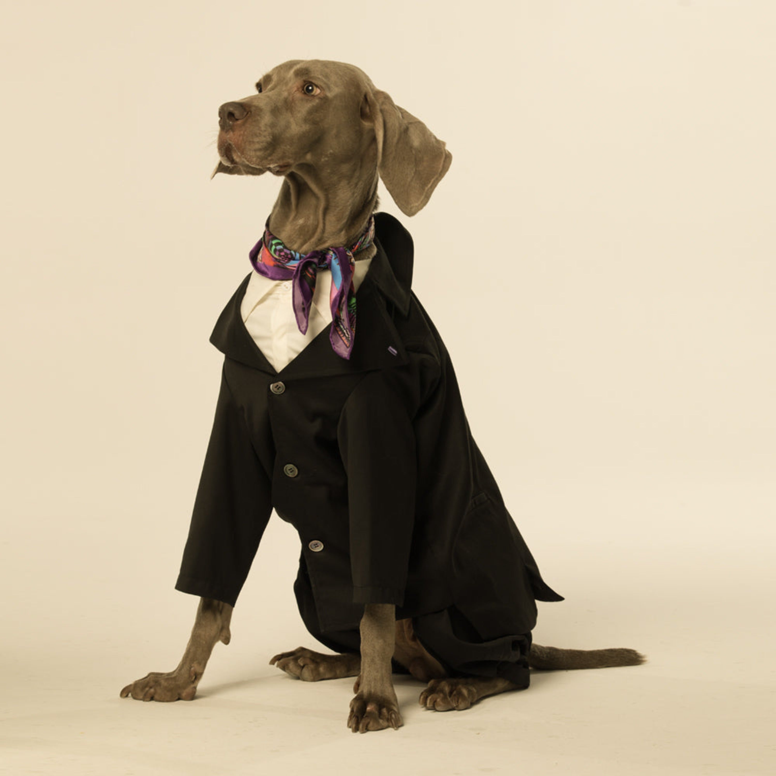 Our Size Chart – Pebot